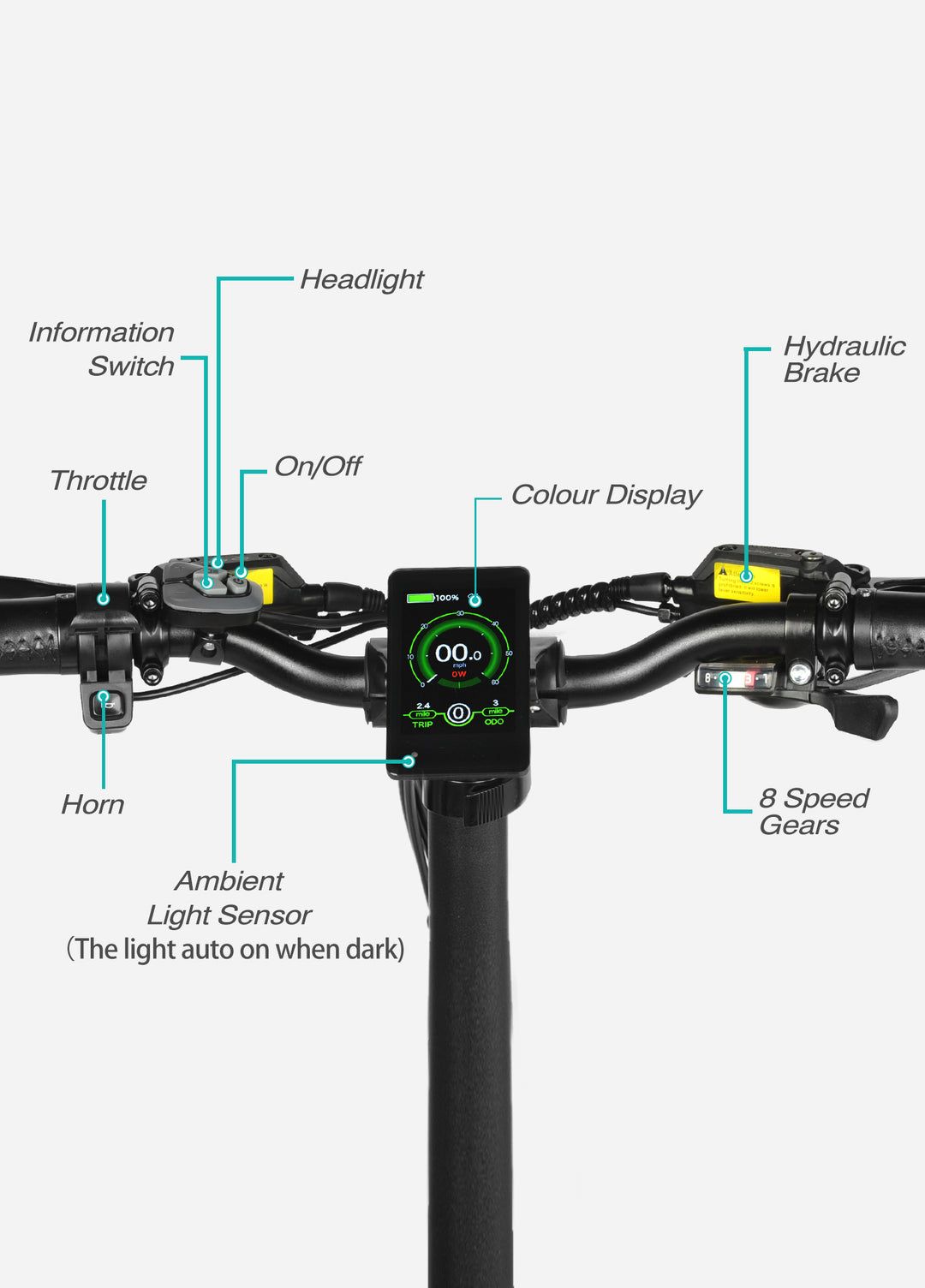 Xe đạp điện Bánh Béo ENGWE PRO – An Tâm Ebike