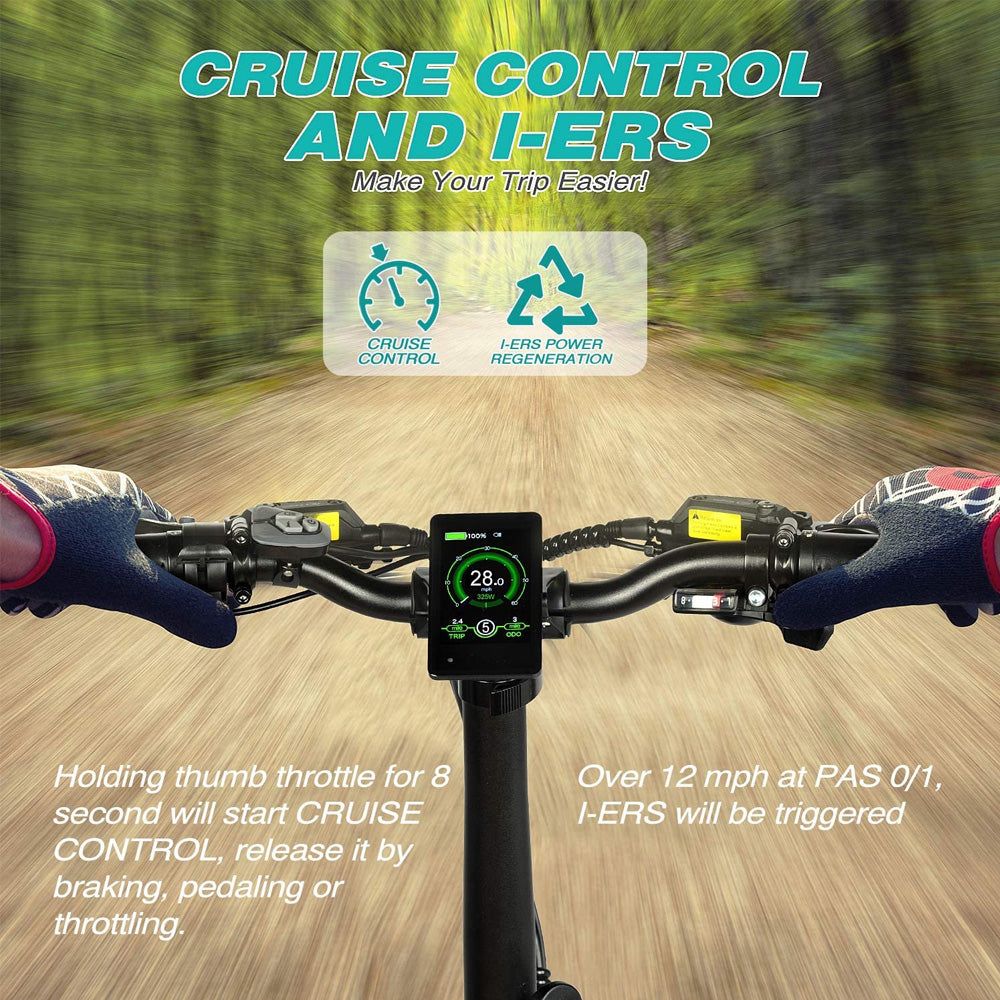 Xe đạp điện Bánh Béo ENGWE PRO – An Tâm Ebike